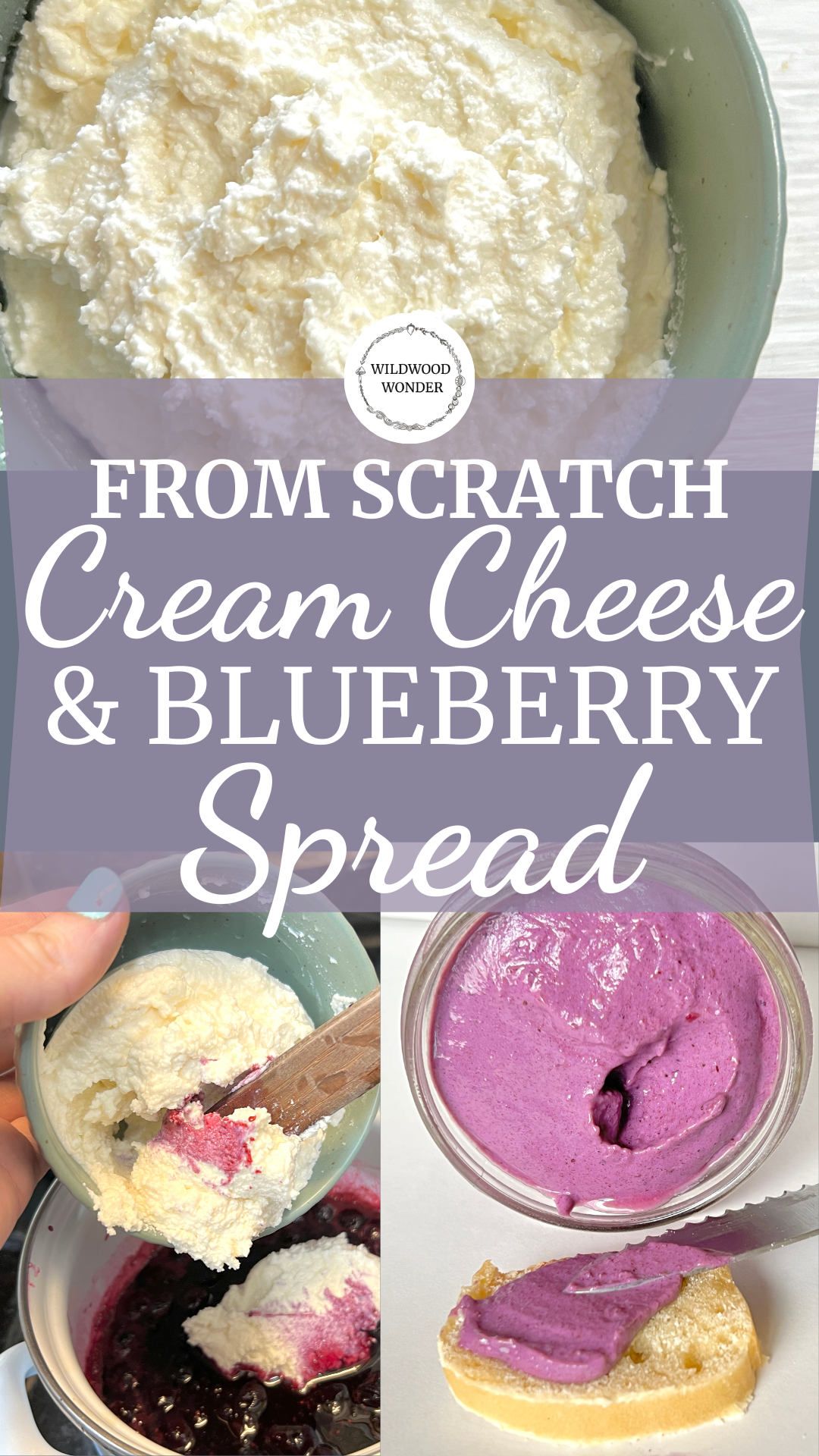 From Scratch Blueberry Cream Cheese Spread - Wildwood Wonder