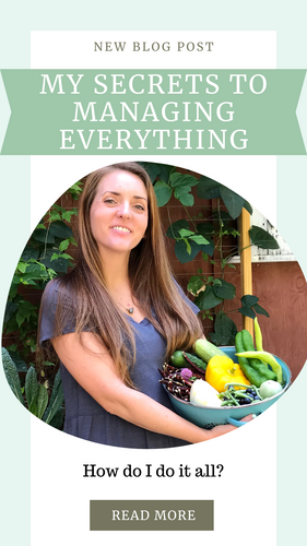 My Secrets to Managing Everything - Wildwood Wonder