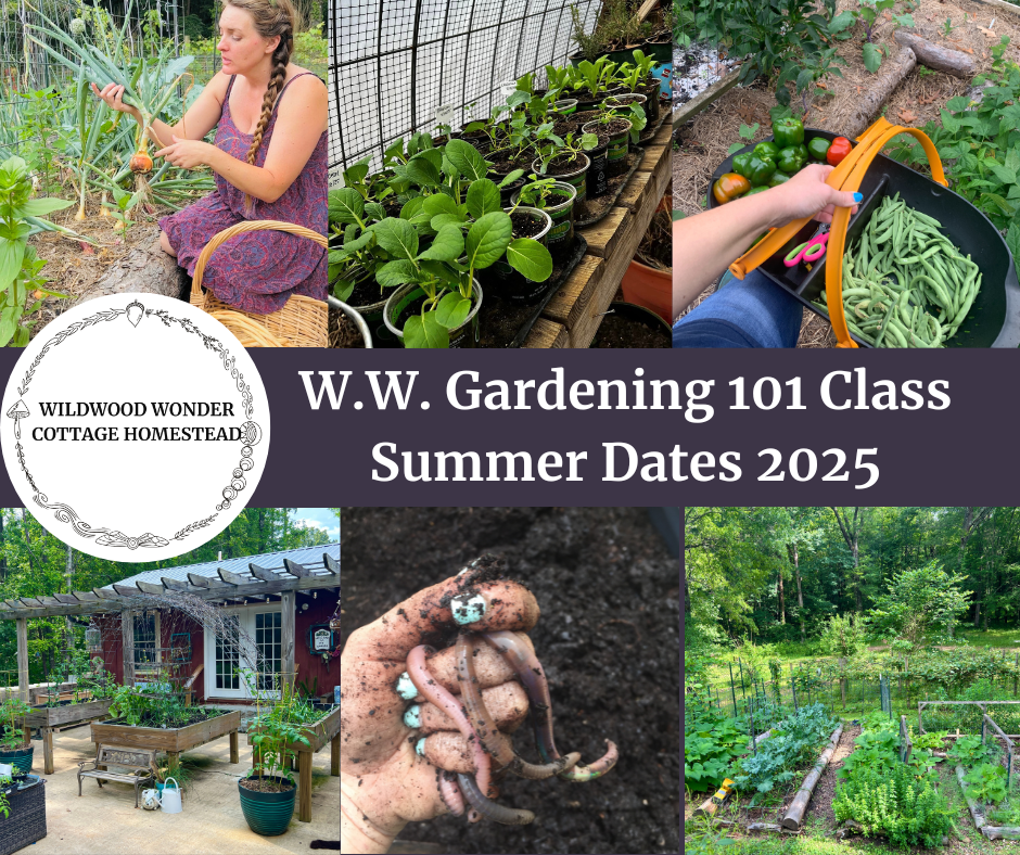 W.W. Gardening 101 Class - Summer Dates Available - Wildwood Wonder