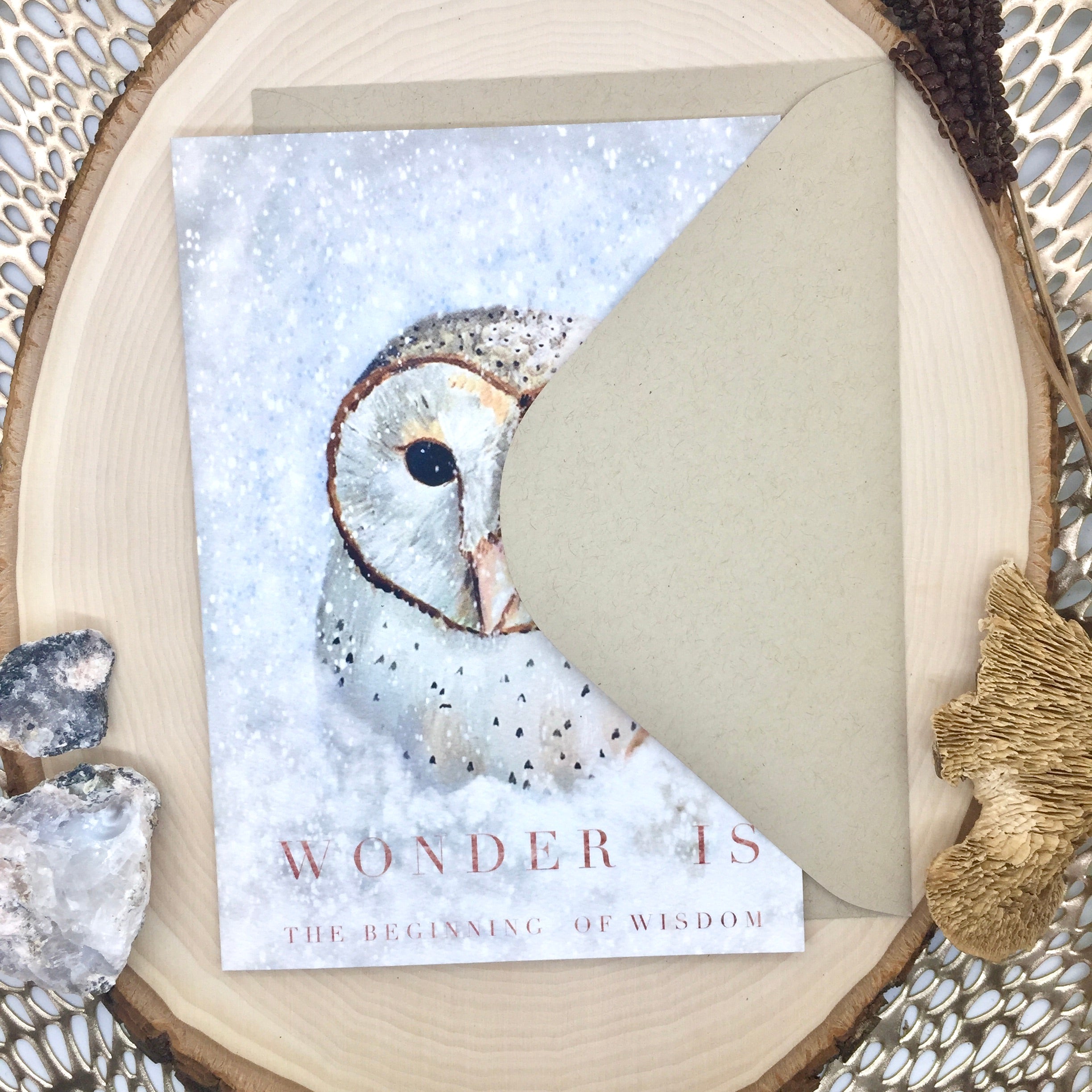 Barn Owl Greeting Card - Wildwood Wonder
