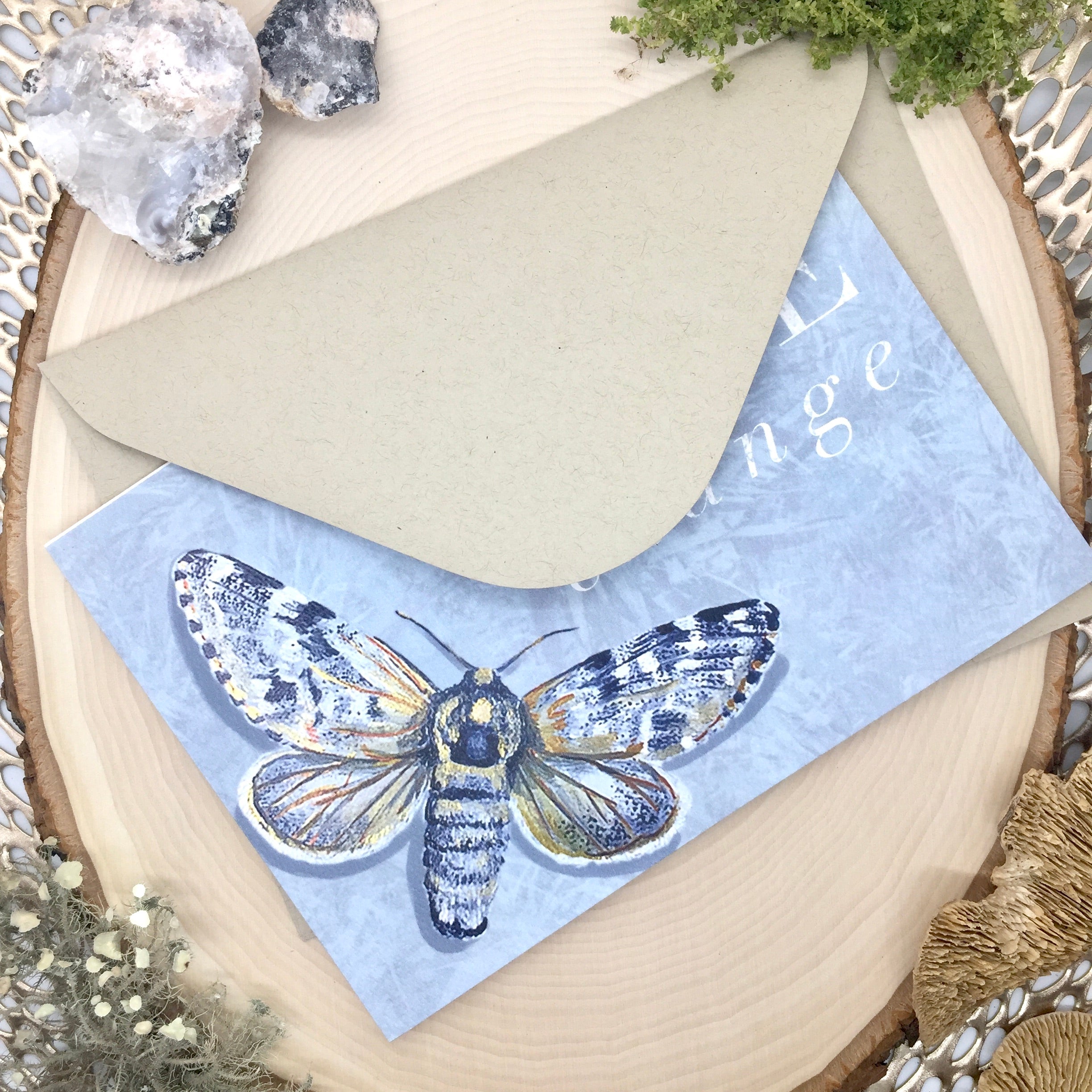 Arctic Moth Digital Card - Wildwood Wonder