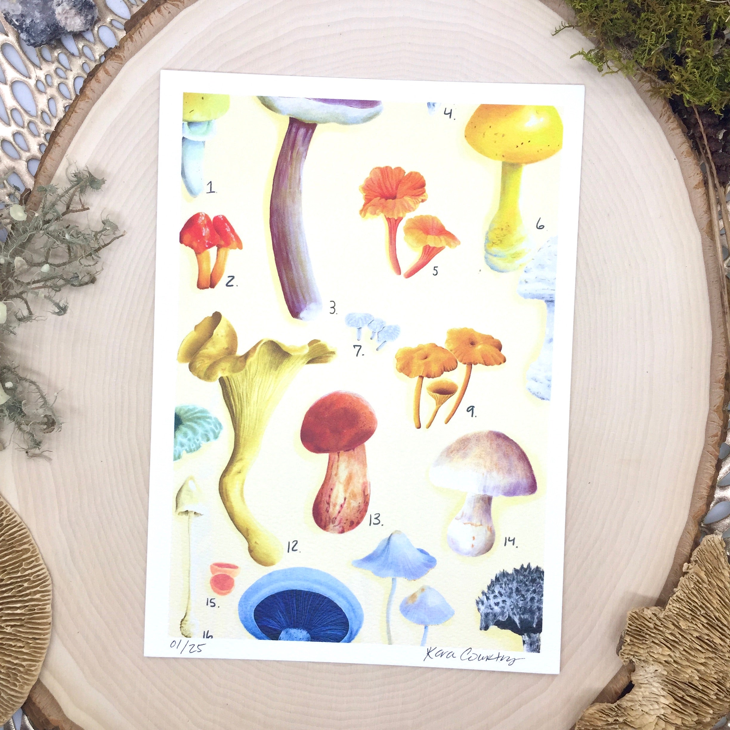 Mushroom Print - Wildwood Wonder